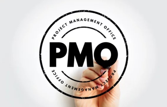 PMO（Project Management Office）の全ノウハウ│PMOの定義と役割から未来予測までを徹底解説 | 株式会社 ...